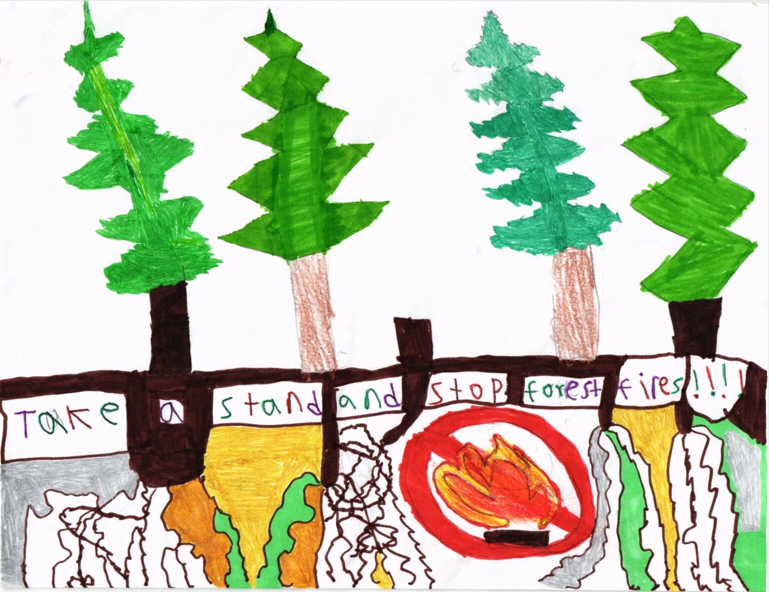 2020 Poster Contest Vote | AMERIND.com