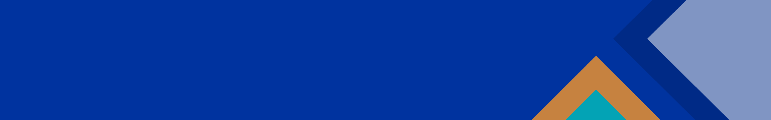 Vision & Mission | AMERIND.com