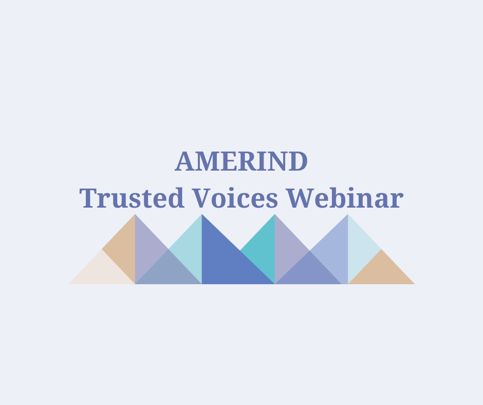 The Financial Cycle of the Insurance Company | AMERIND.com